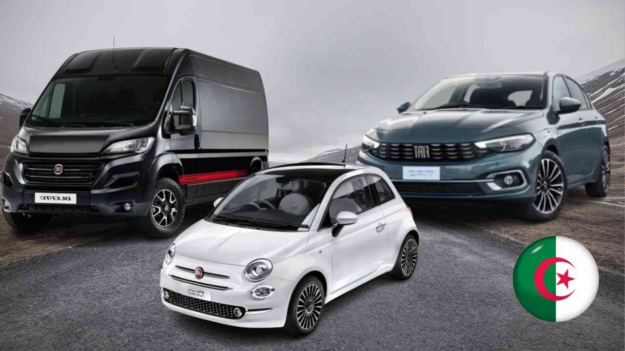 Fiat 500 : Stellantis Algérie arrête les commandes